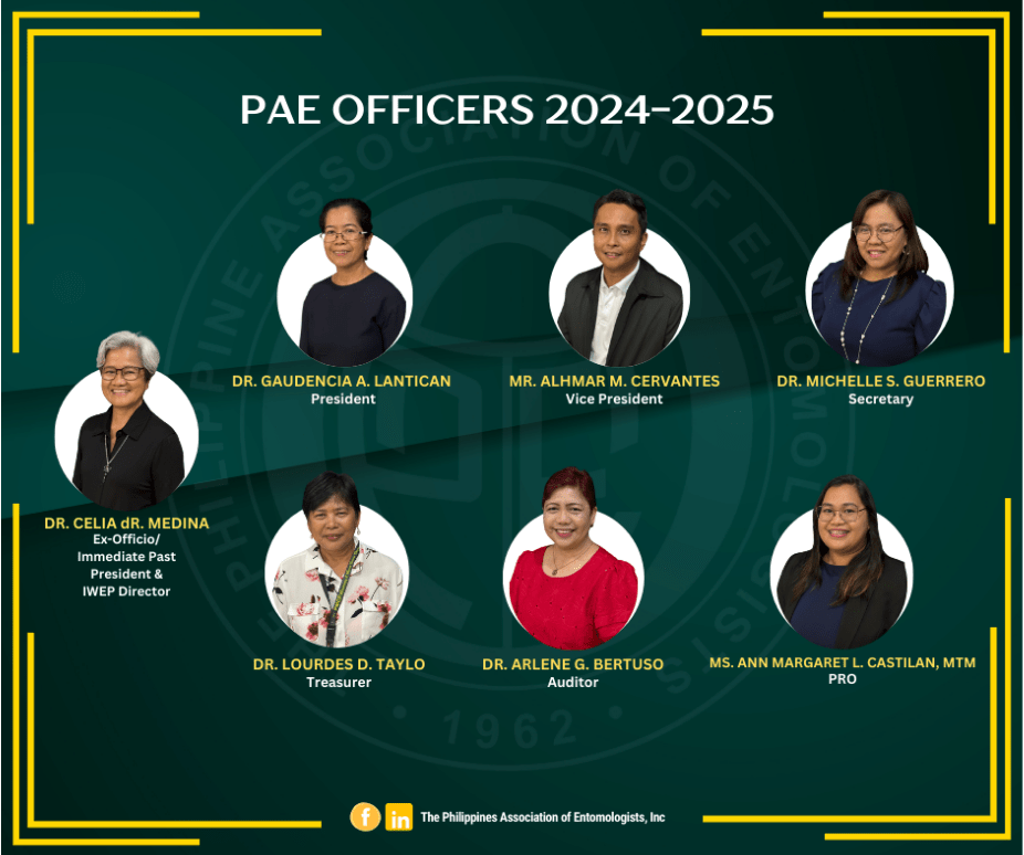 About PAE